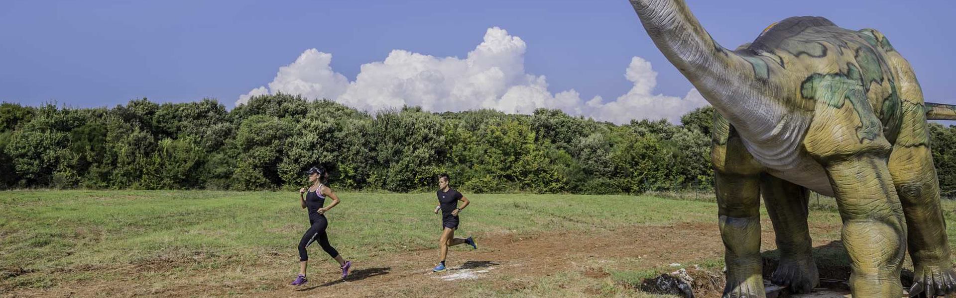 Visit Bale | Dinosaur