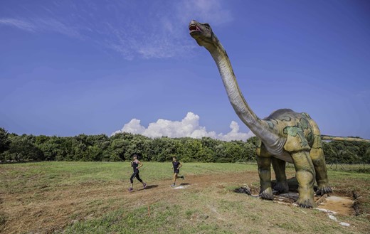 Visit Bale | Dinosaur